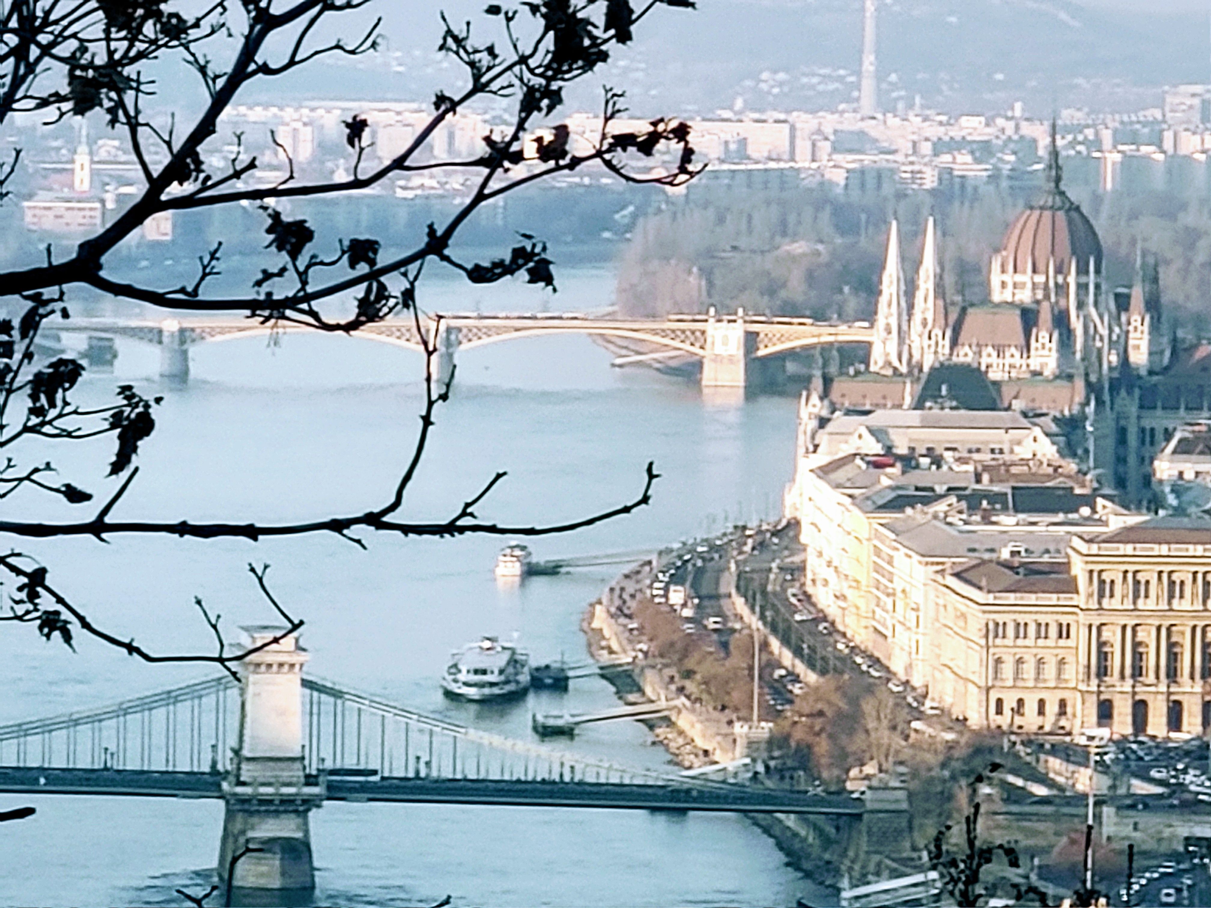 16th IACD World Congress in Budapest, Hungary